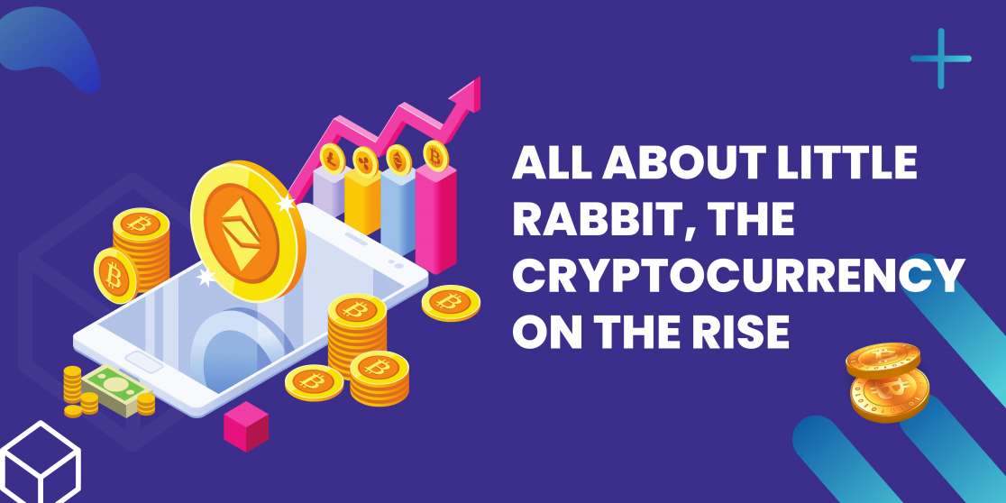 Little Rabbit, The Cryptocurrency On The Rise | PayGamble