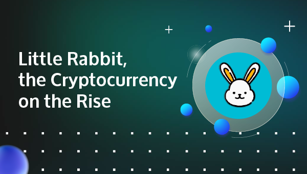 Little Rabbit, The Cryptocurrency On The Rise | PayGamble